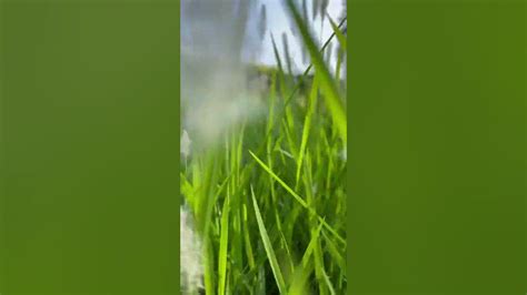 Iphone Effect Youtube