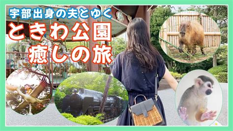 【山口県宇部市】定番★観光スポット「ときわ公園」を宇部出身の夫とのんびりお散歩｜園内の動物園・彫刻・遊園地を満喫【旅vlog】 Youtube
