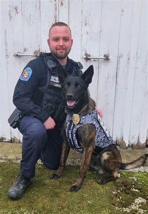 Fostoria Police Dog Gets Protective Vest Wfin Local News