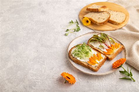 크림 치즈 금송화 꽃잎 및 회색에 마이크로 그린이 들어간 흰 빵 샌드위치 측면보기 복사 공간 0명에 대한 스톡 사진 및 기타