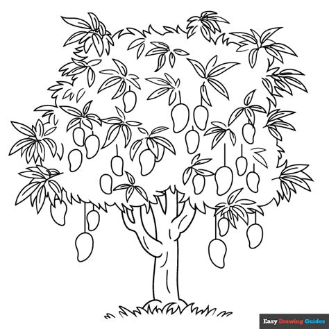 Mango And Mango Tree Coloring Page Coloring Page Coloring Home My Xxx