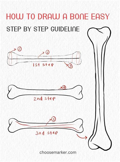How To Draw A Bone Easy With Step By Step Guideline Skeleton Art