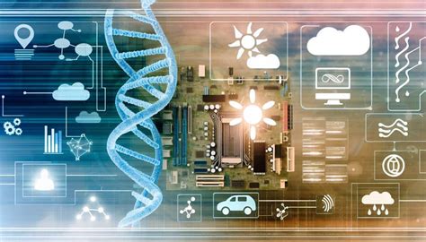 Practical Guide Using Evolutionary Computation Techniques In