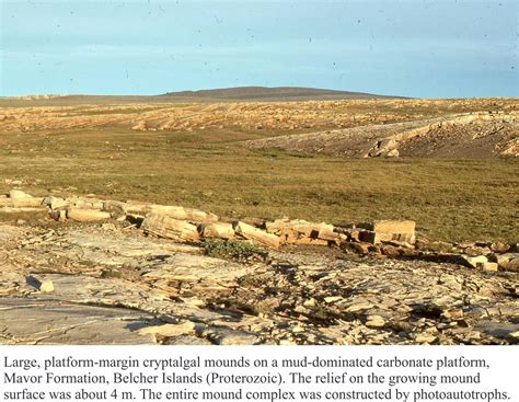 Mineralogy Of Carbonates Carbonate Factories Geological Digressions