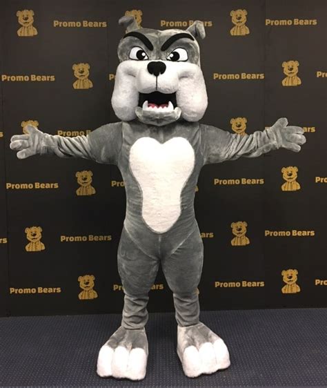 Stock Mascot Costumes Professional Quality Promo Bears Usa