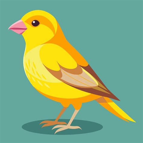 Atlantic Canary Bird Clip Art Vector Illustration Design Premium Ai