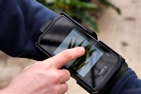 Sdf Horti Software Solutions