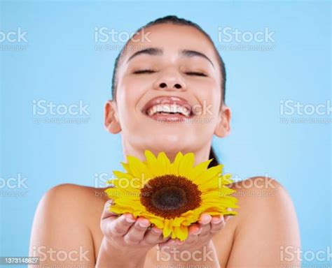 파란 배경에 해바라기와 함께 포즈를 취하는 매력적인 젊은 여성의 스튜디오 샷 20 24세에 대한 스톡 사진 및 기타 이미지 20 24세 20 29세 검정 머리