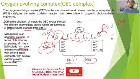 Oxygen Evolving Complex Youtube