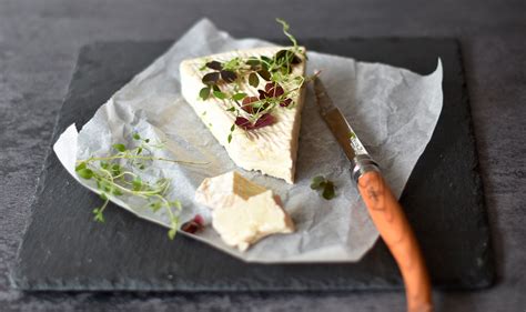 Ny Blog Og Cheese Lovers Day Ostesnak