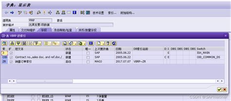 Sap 主索引和二级索引sap 表的二次索引 Csdn博客