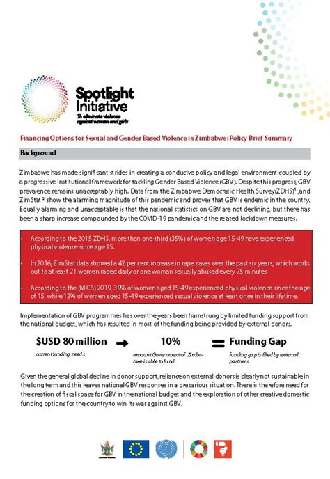 Policy Brief Summary Financing Options For Sexual And Gender Based