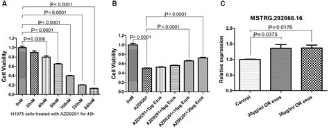 Exosomal Long Non Coding Rna Mstrg 292666 16 Is Associated With Osimertinib Azd9291 Resistance