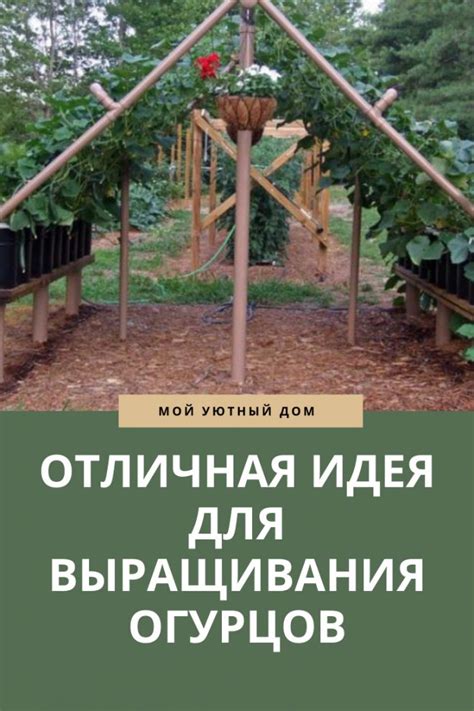 An Image Of A Garden With Plants Growing In The Ground And Text Overlaying It