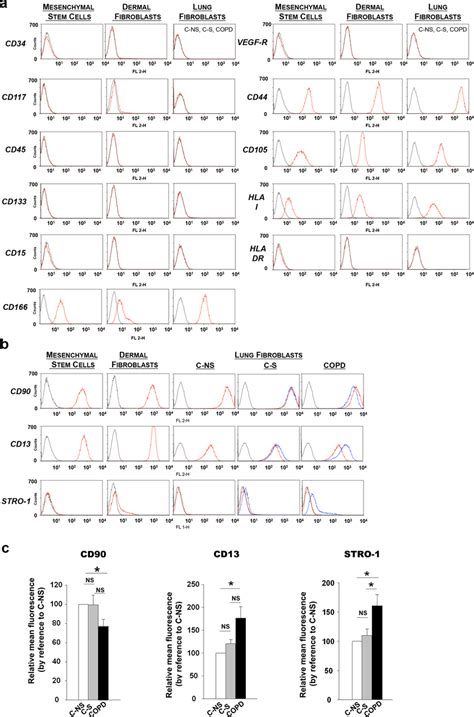 Cell Surface Expression Of Msc Associated Markers A Representative