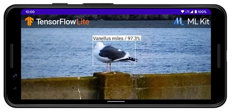 Come Vengono Addestrati I Modelli Di Machine Learning Ihal