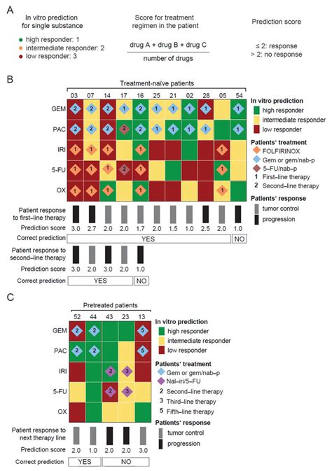 Organoid Based Drug Efficacy Prediction Profiles Parallel Patient
