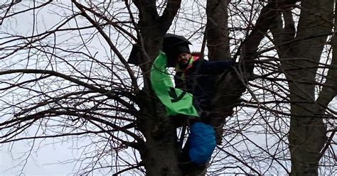 Wellingborough Tree Protests Updates As Second Protestor Climbs Tree