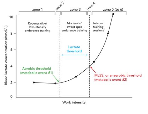 Difference Between Lactate And Vs Lactic Acid Printables Free