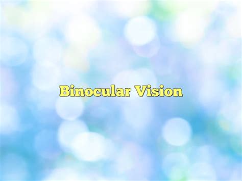 Binocular Vision Definition And Meaning