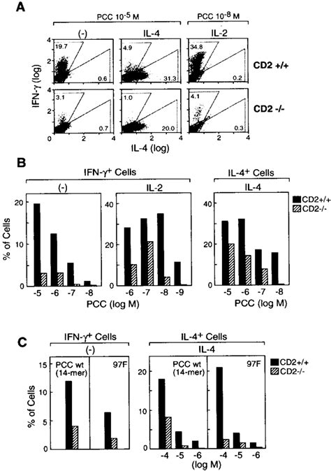 Lymph Node Cd4 T Cells In 5cc7tg Cd2 Deficient Mice Manifest Reduced Download Scientific