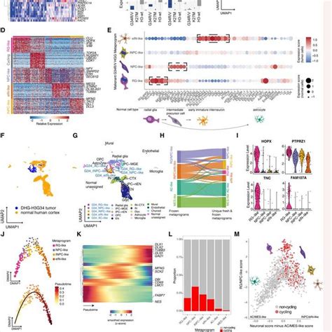 零代码单细胞拟时序全流程分析教程 知乎