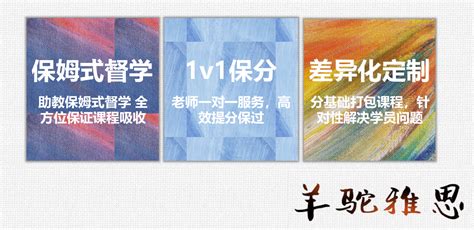 羊驼雅思：用科技改变学习效率 搜狐大视野 搜狐新闻