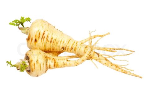 Parsnip Isolated On White Stock Image Colourbox