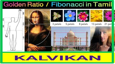 Golden Ratio Fibonacci In Tamil Kalvikan Youtube