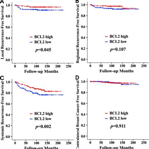 Disease Free Survival Curves According To Bcl1 And Bcl2 Statuses
