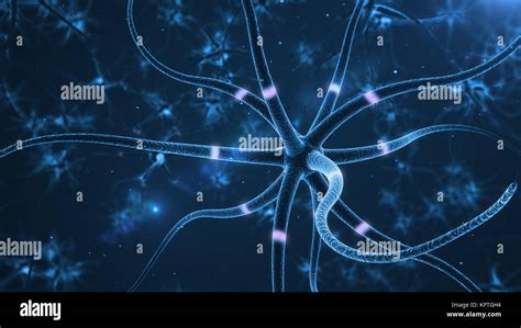 Neurona Sensorial Fotografías E Imágenes De Alta Resolución Alamy