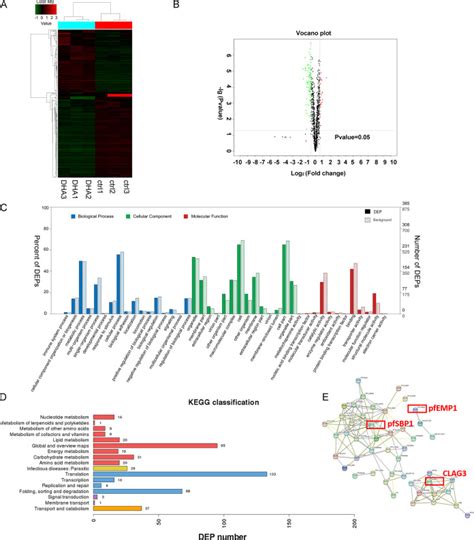 Combined Transcriptome And Proteome Profiling For Role Of Pfemp1 In
