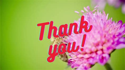 Cuộc Thi Chữ đẹp Tuổi Thơ Lần Thứ Nhất Vũ Thị Huệ Lớp 4a4 Trường Tiểu Học Đông Phú Youtube