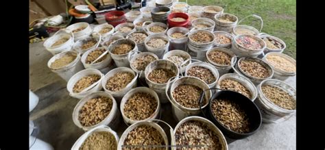 The Strategic Bear Hunter Tips For Buying And Using Trail Mix As Bear