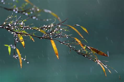 一场秋雨一场寒图册360百科