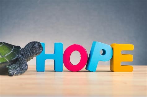 Premium Photo Close Up Of Hope Text On With Turtle On Table