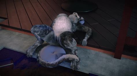 Egg Laying Into Pool