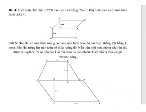 Biết hình chữ nhật ABCD có diện tích bằng 28cm 2 Toán học Lớp 5 Bài tập Toán học Lớp 5
