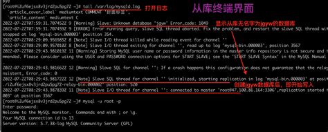 Mysql数据库主从配置 Wolfstark 博客园