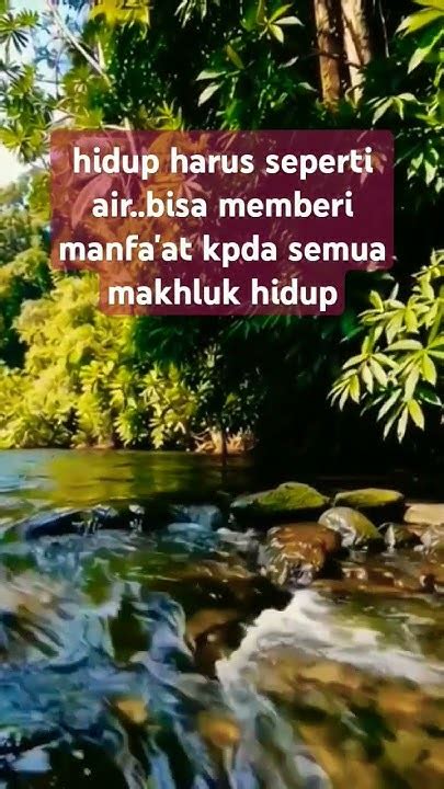 hiduplah seperti air..bisa mmberi manfaat kpda seemua makhluk hidup #hidup #shortsvideo #shorts ...