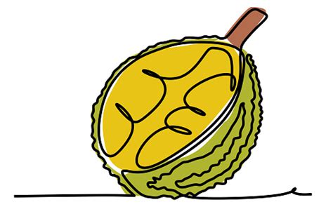 노란색 열대 두리안 과일의 연속 선 그리기 자연스럽고 건강한 생활 개념을 위한 간단한 평면 컬러 손으로 그린 스타일 벡터 그림