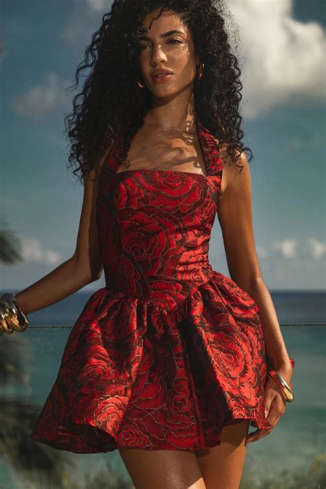 Viper Mini Dress Rose Print The Society