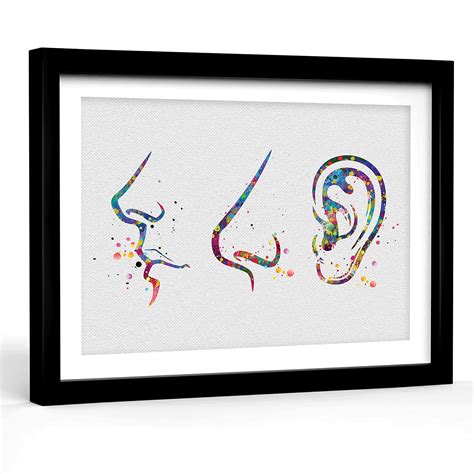 Framed Ear Nose Throat Diagram