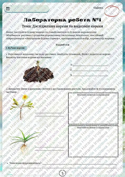 Зошит для лабораторних і практичних робіт для 7 класу НУШ за програмою Балан П Інші