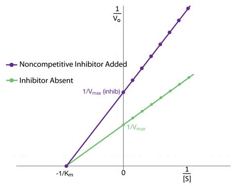 Mixed Inhibition Lineweaver Burk Plot At Alexis Hoff Blog
