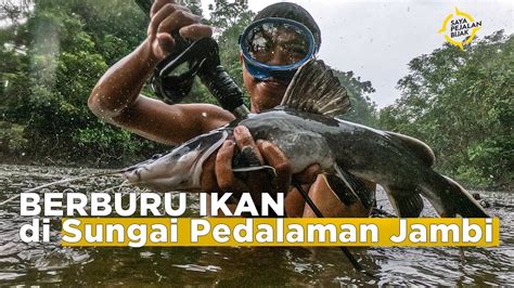 Berburu Ikan Baung Ala Suku Anak Dalam Jambi SERU BANGET CUY YouTube