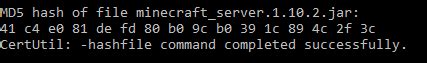 A Problem Occurred Running The Server Launcher Java Lang Reflect