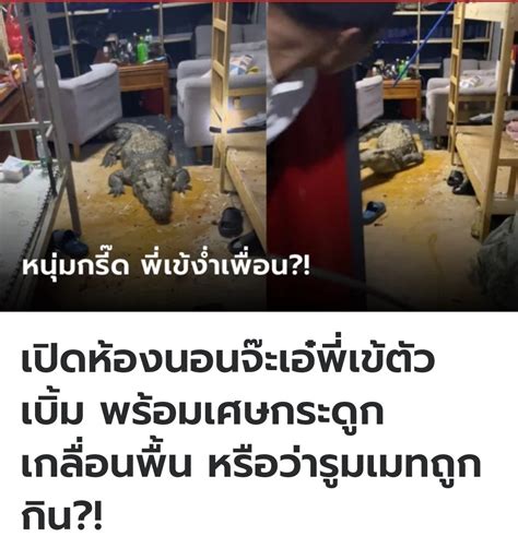 彡𝒛𝒉𝒂𝒏𝒛𝒉𝒂𝒏 𝒴 on Twitter RT TarotYouuuu เจอแบบน กชอกจรงๆ