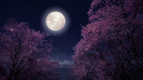 La Pleine Lune en Scorpion et éclipse du 5 mai réserve de mauvaises