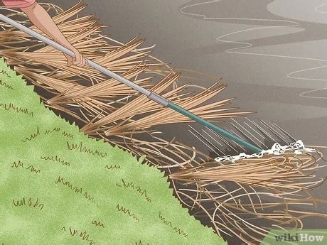 How To Get Rid Of Cattails In My Pond Proven Strategies